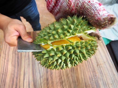 Best Places To Enjoy Durian In Johor Bahru | Durian Farm & Stall