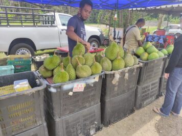 Top 15 Place To Buy Durian In Johor | ( Include Stall and Farm Info)