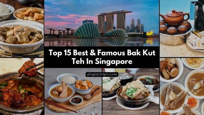 Top 15 Best & Famous Bak Kut Teh In Singapore | 2023 Lastest List