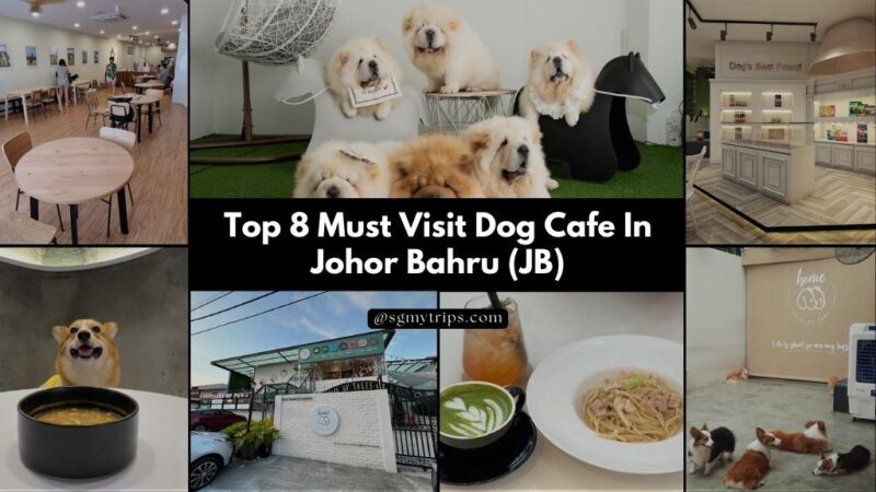 Top 8 Must Visit Dog Cafe In Johor Bahru (JB) | Dog Cafe List 2023