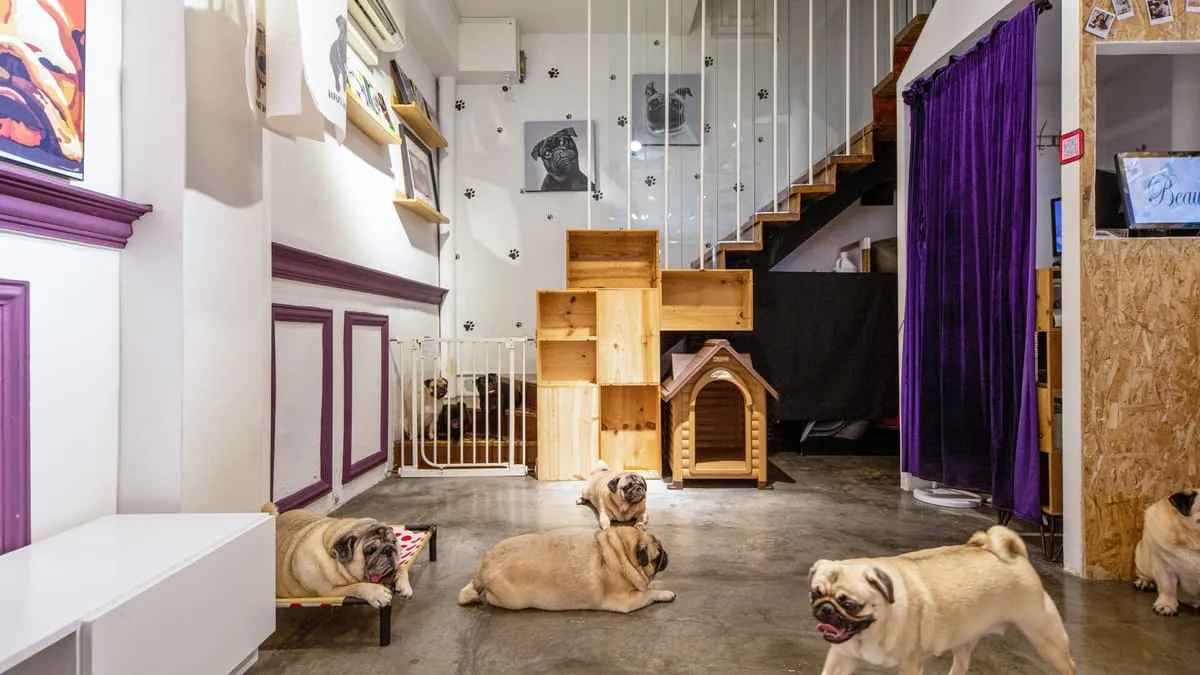 Top 13 Best & Popular Pet Friendly Cafe In Singapore Worth A Visit